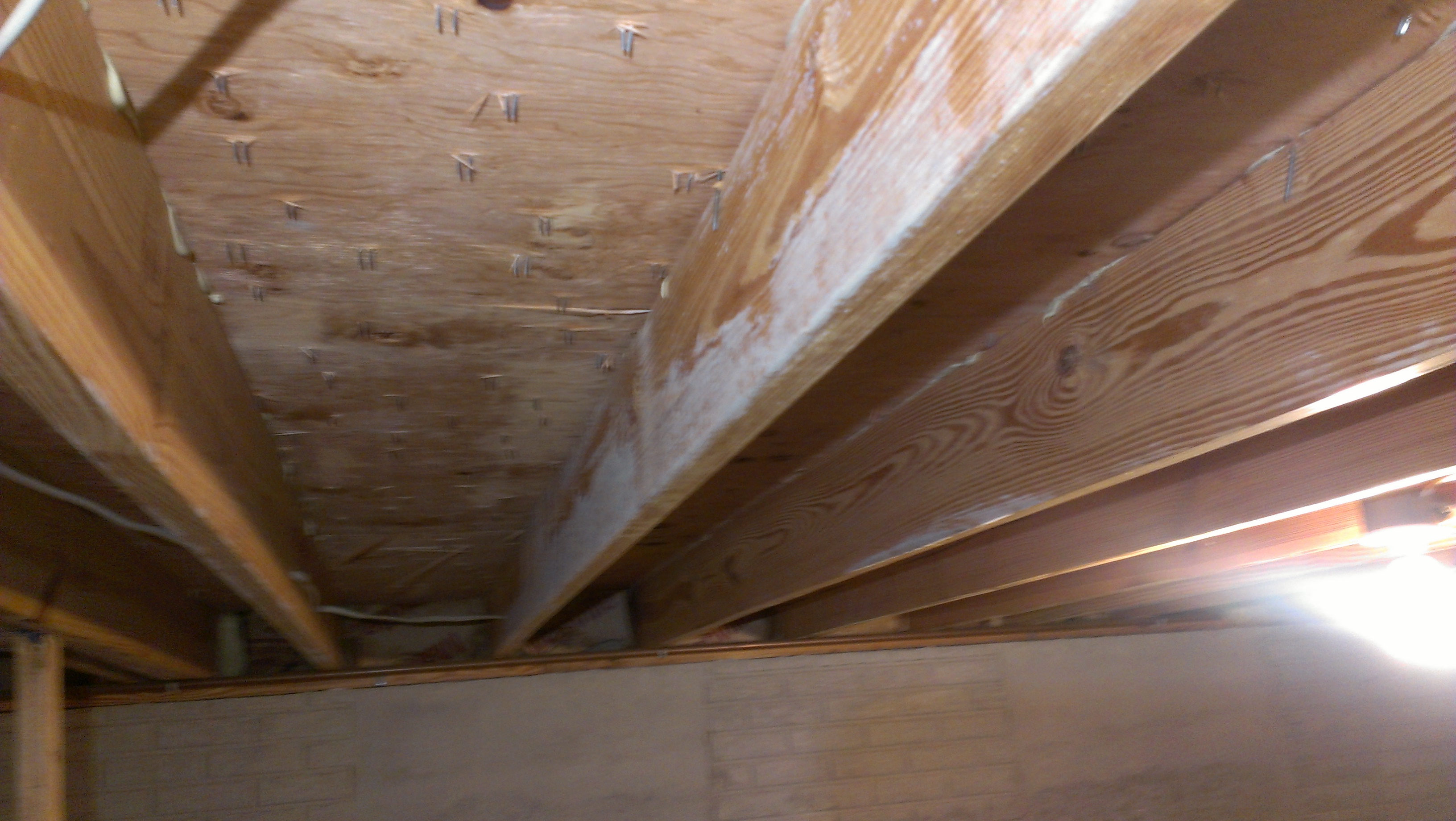 Worst Case Scenarios of Mold, What Do They Look Like? – RTS ...
