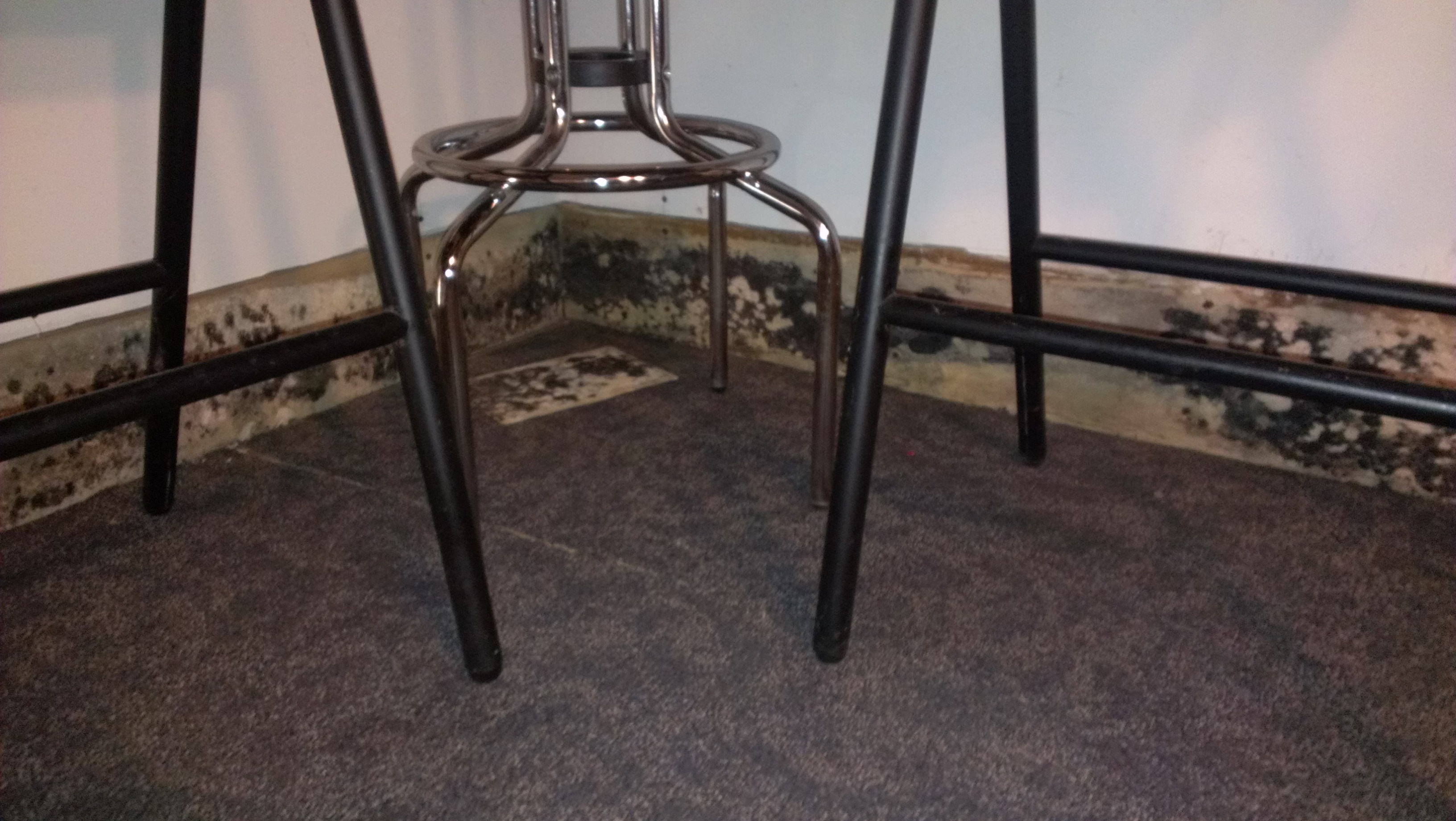 Worst Case Scenarios of Mold, What Do They Look Like? – RTS ...
